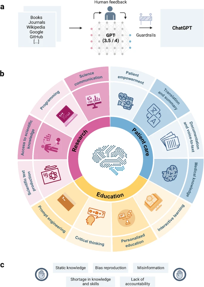 Large Language Models in Healthcare: Applications in Patient Care